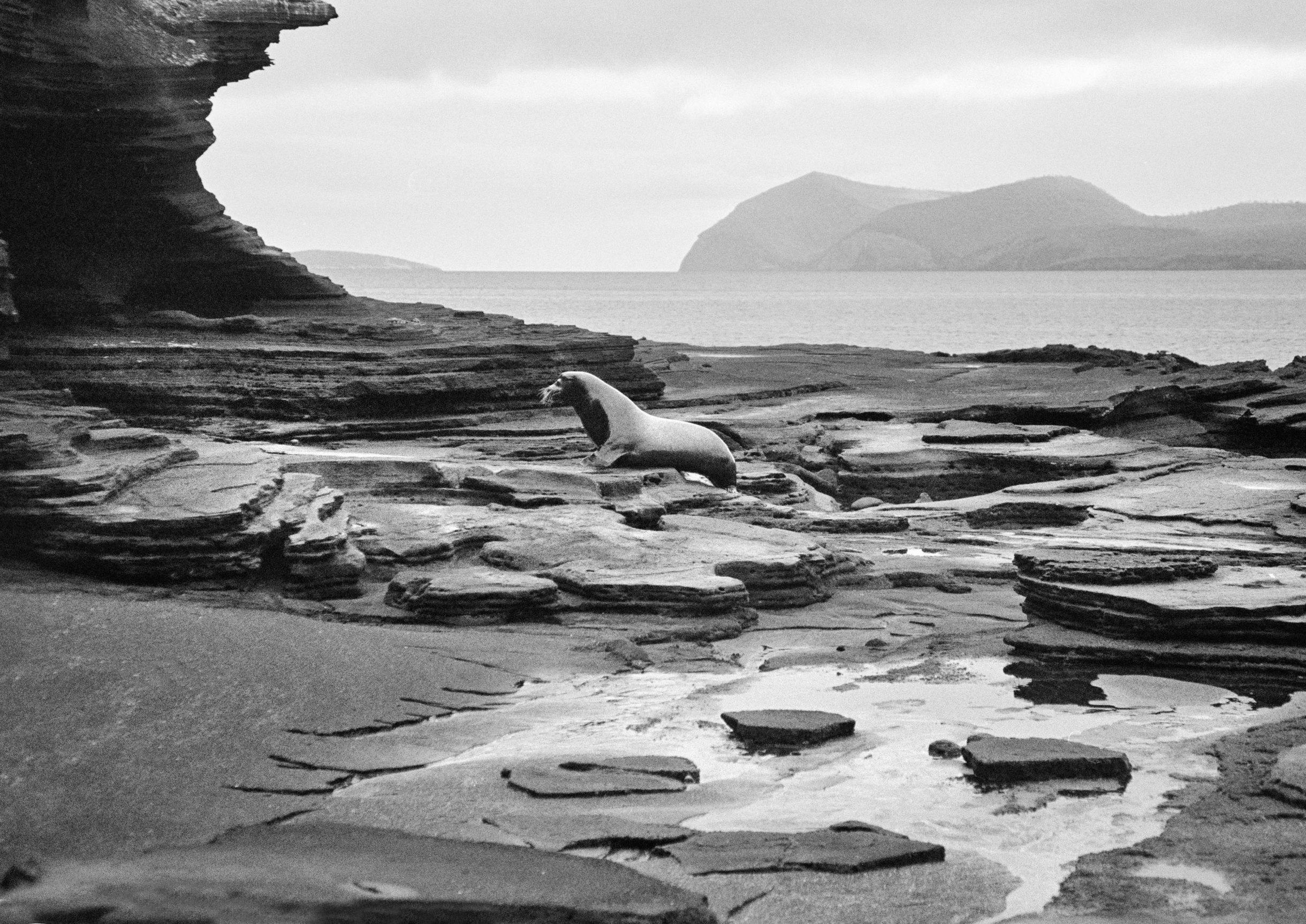Recueil de photographies de Stella Nastou - Centre Culturel Hellénique