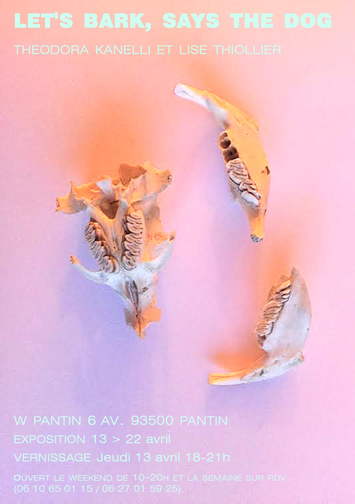 Let’s Bark! says the dog de Théodora Kanelli, Lise Thiollier - Centre Culturel Hellénique